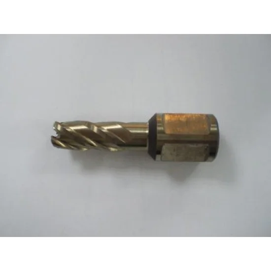 Alfra HSS Mag Drill Cutter 12mm